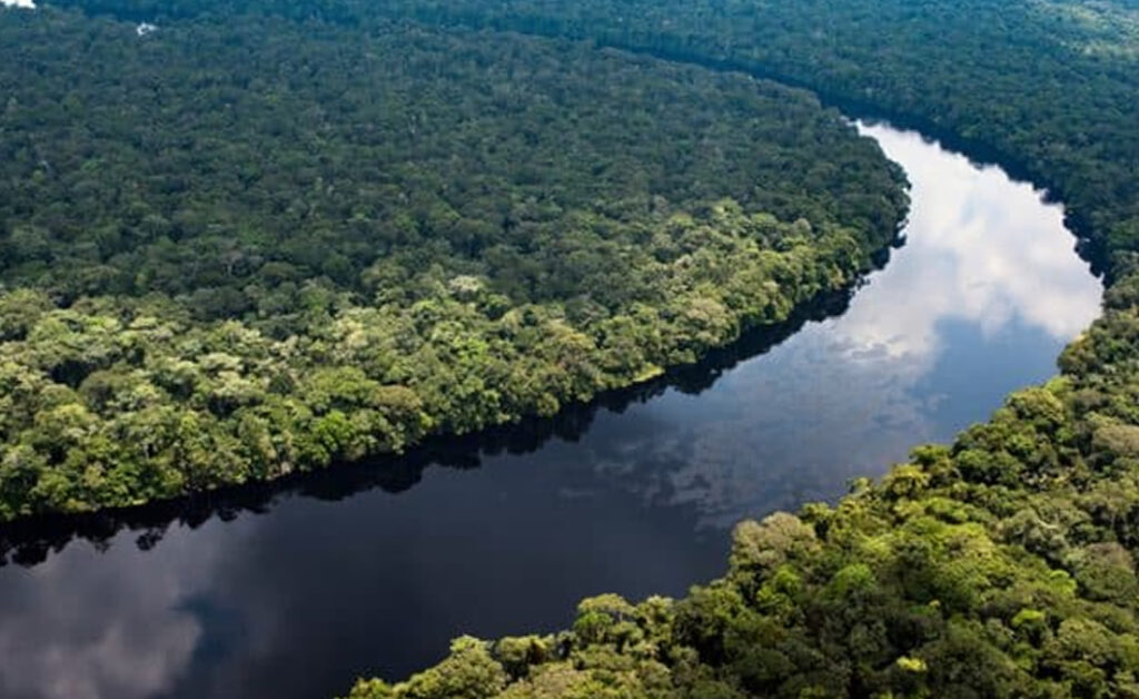 Eco Friendly Africa Travel - Africa Travel Guide